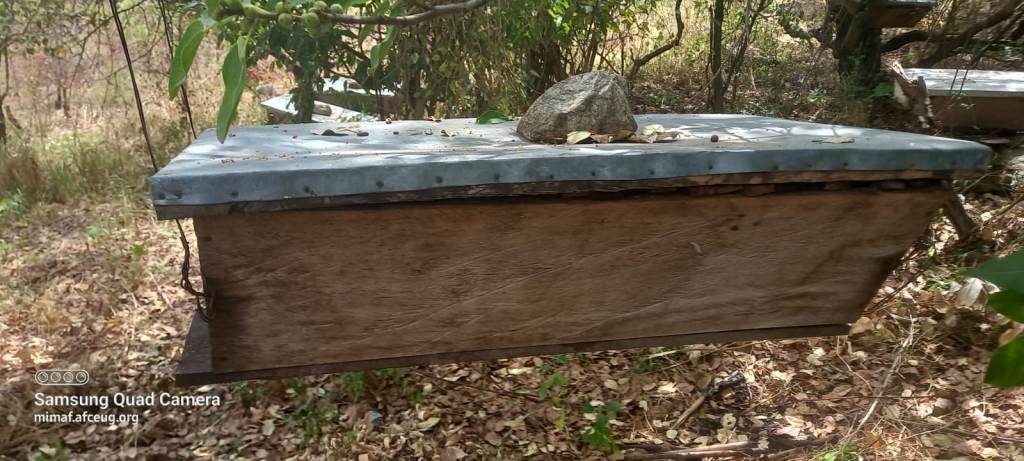 Bees Product Processing and Marketing – Mic Pa Mungu Agro-ecological ...