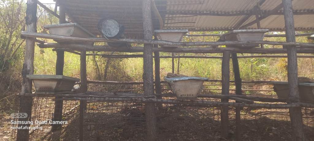 Bees Product Processing and Marketing – Mic Pa Mungu Agro-ecological ...