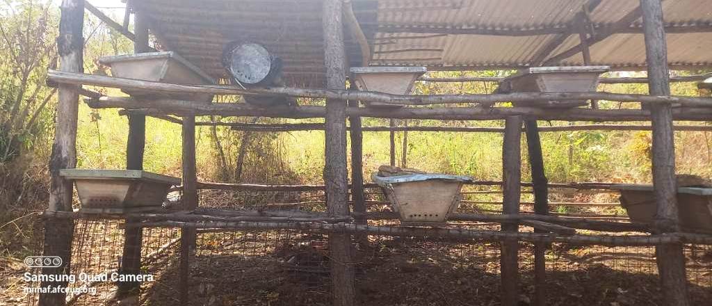 Bees Product Processing and Marketing – Mic Pa Mungu Agro-ecological ...